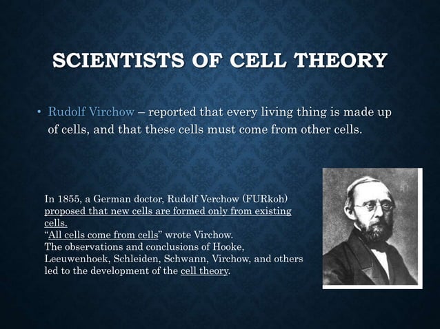 History of cell | PDF