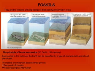 The history of the earth | PPT | Geology | Science