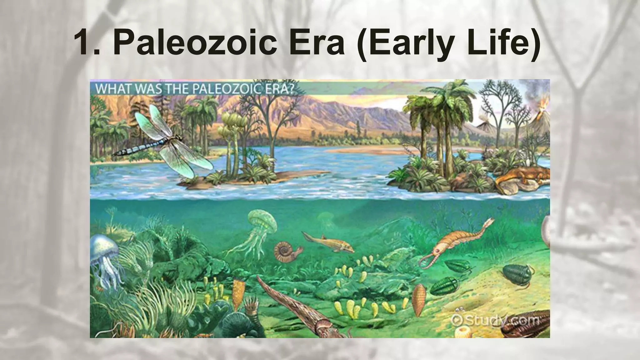 The History of the Earth through Geologic Scale edited.pptx