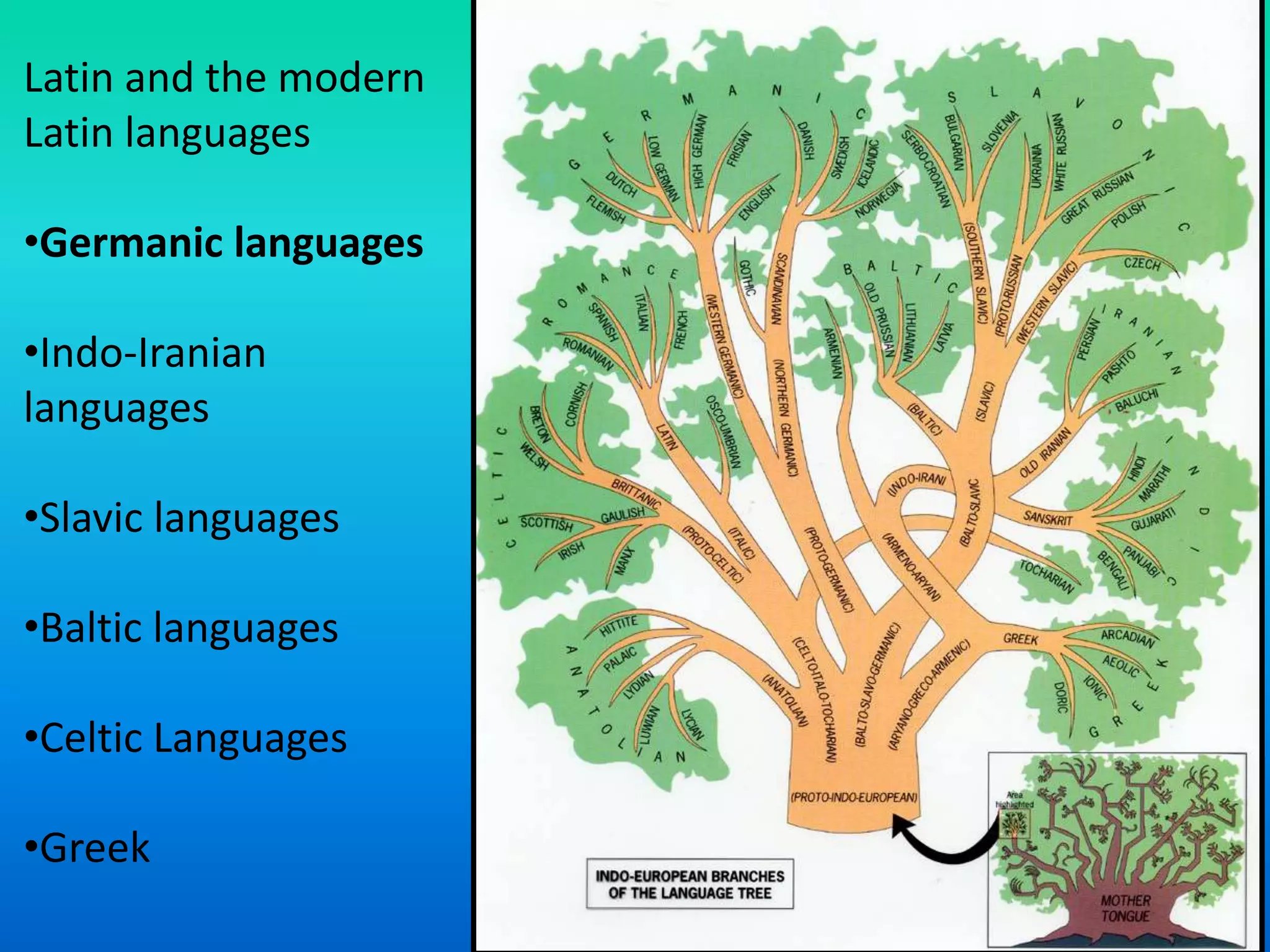 The History of the English Language | PPTX