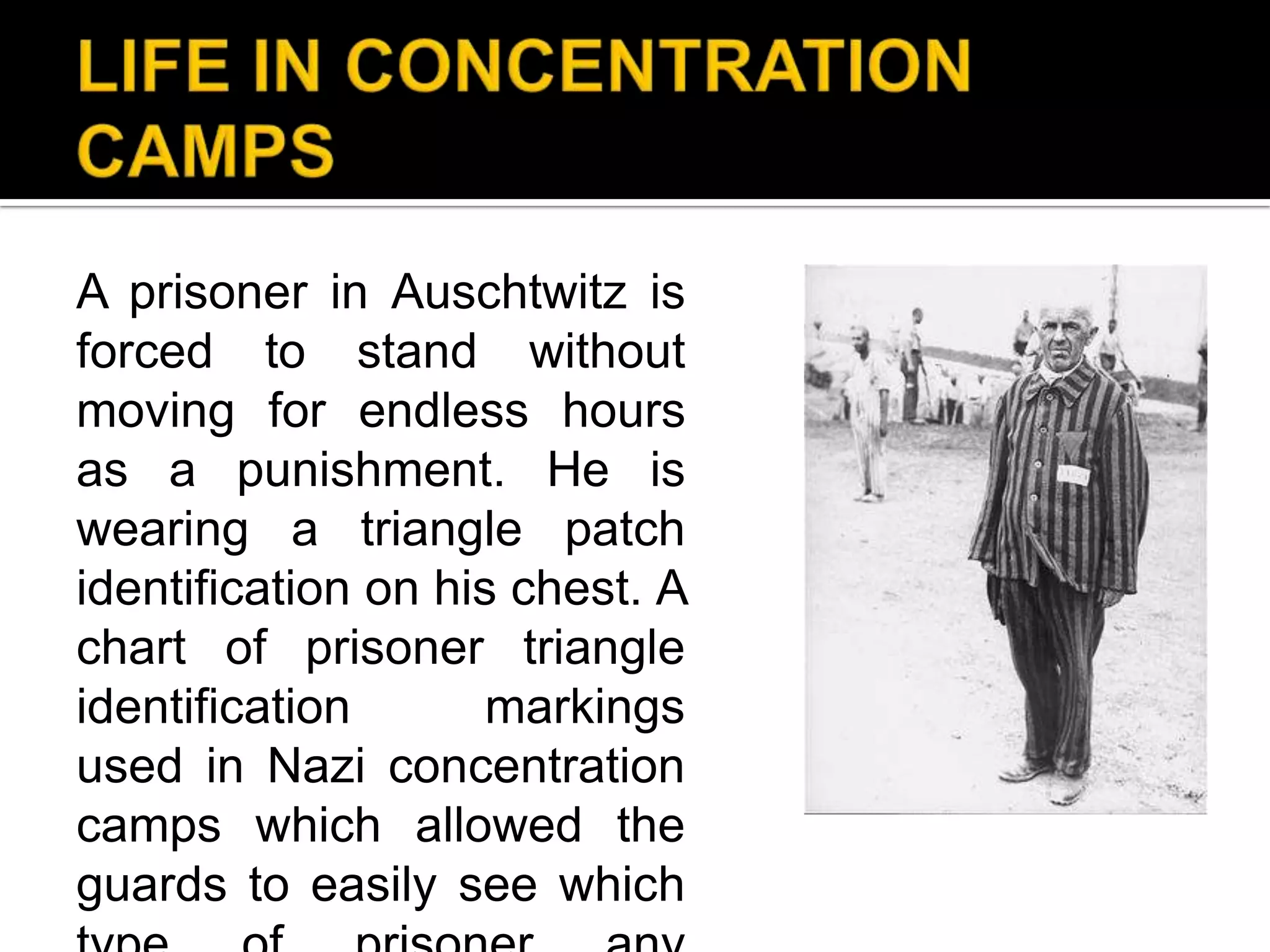 The holocaust | PPTX