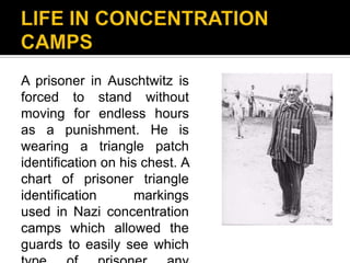 The holocaust | PPTX