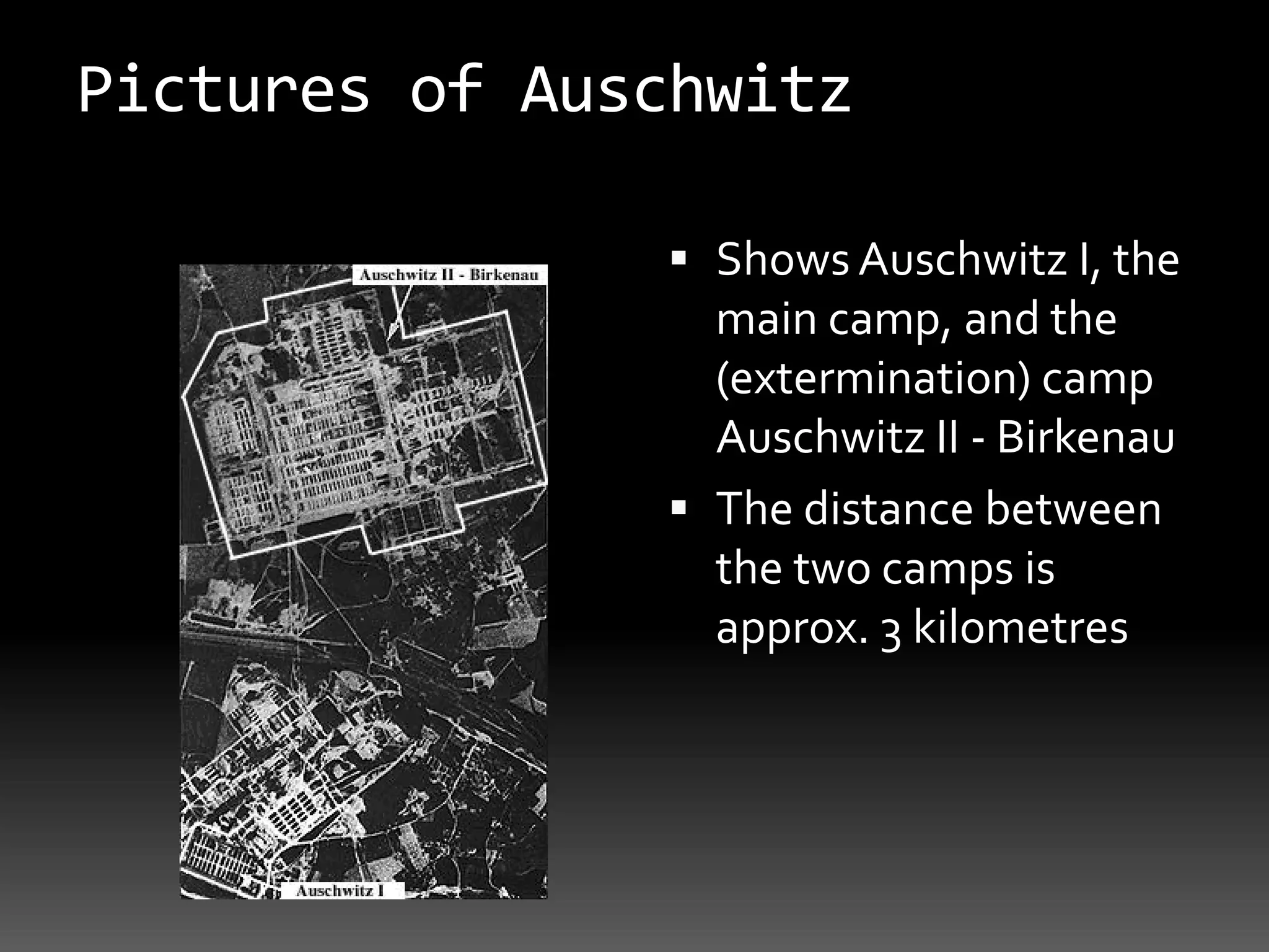 The Four Stages of the Holocaust | PPTX