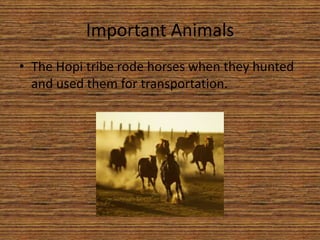 Hopi Transportation
