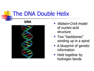 The "HR Double Helix": a model for ensuring employee engagement and ...