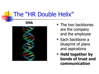 The "HR Double Helix": a model for ensuring employee engagement and ...