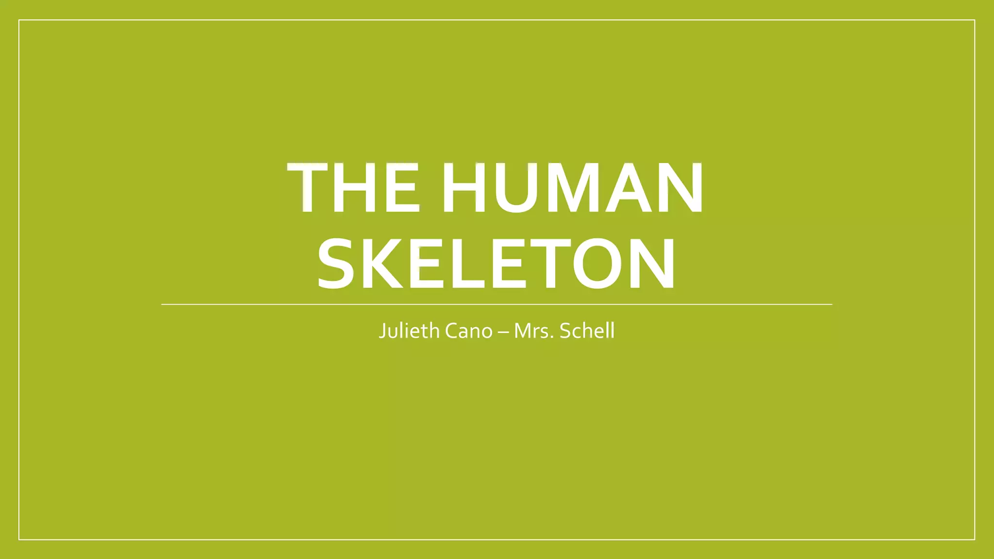 The human Skeleton | PPT