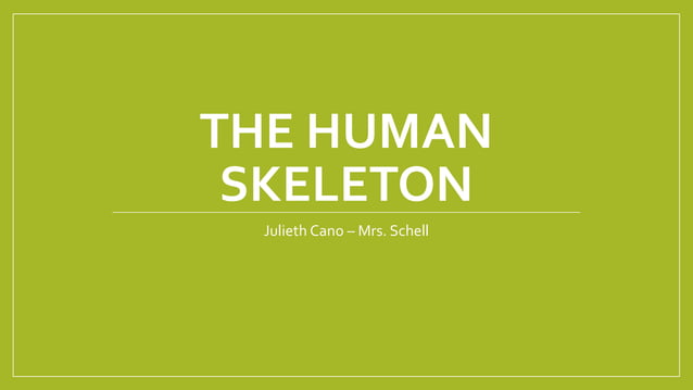 The human Skeleton | PPTX