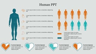 the human power point presentation know your body | PPTX