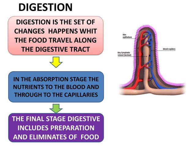 The human and nutrition | PPT