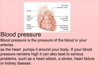 The Human Body | PPT