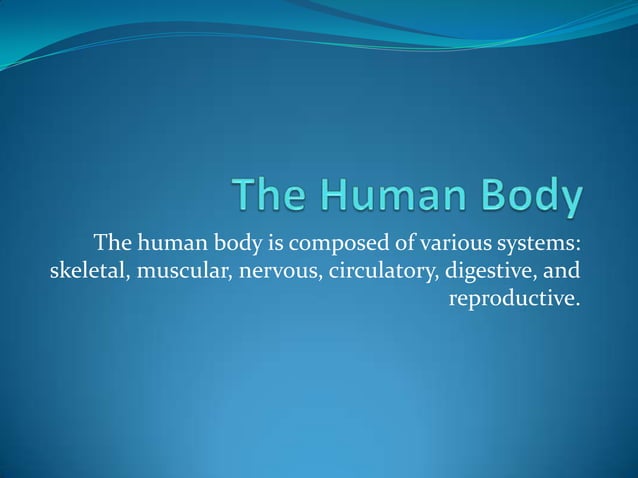 The human body | PPTX