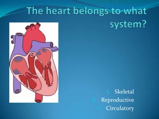The human body | PPT