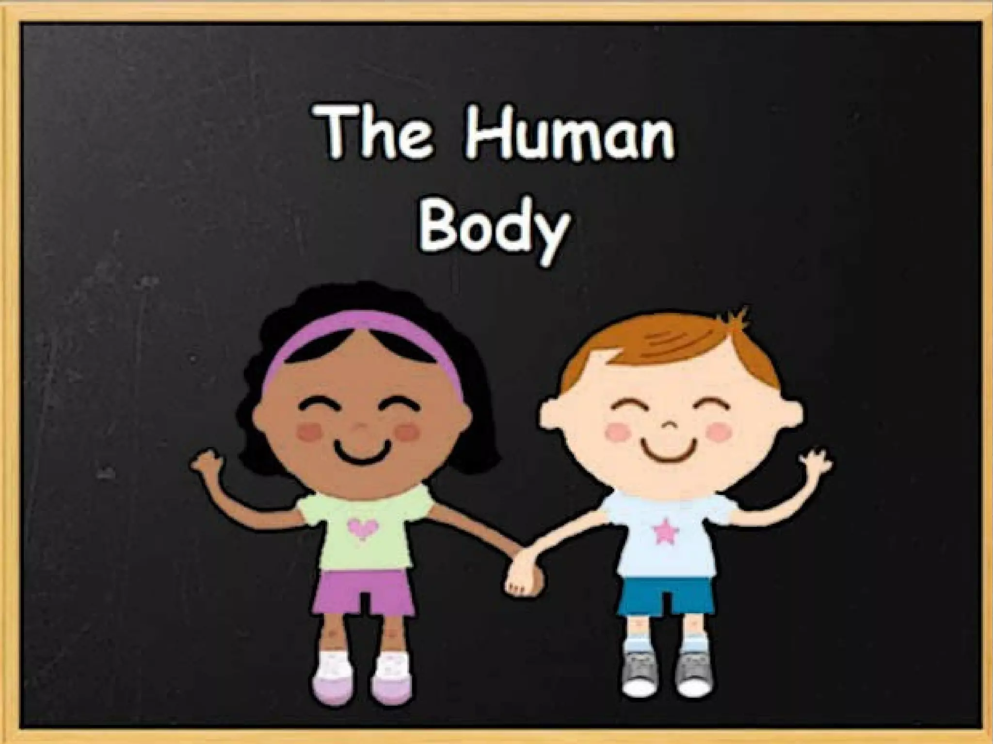 The human body | ODP
