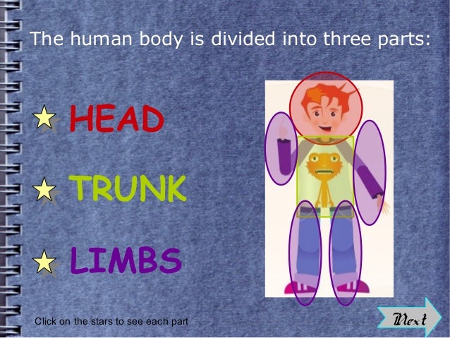 The Human Body The Human Body