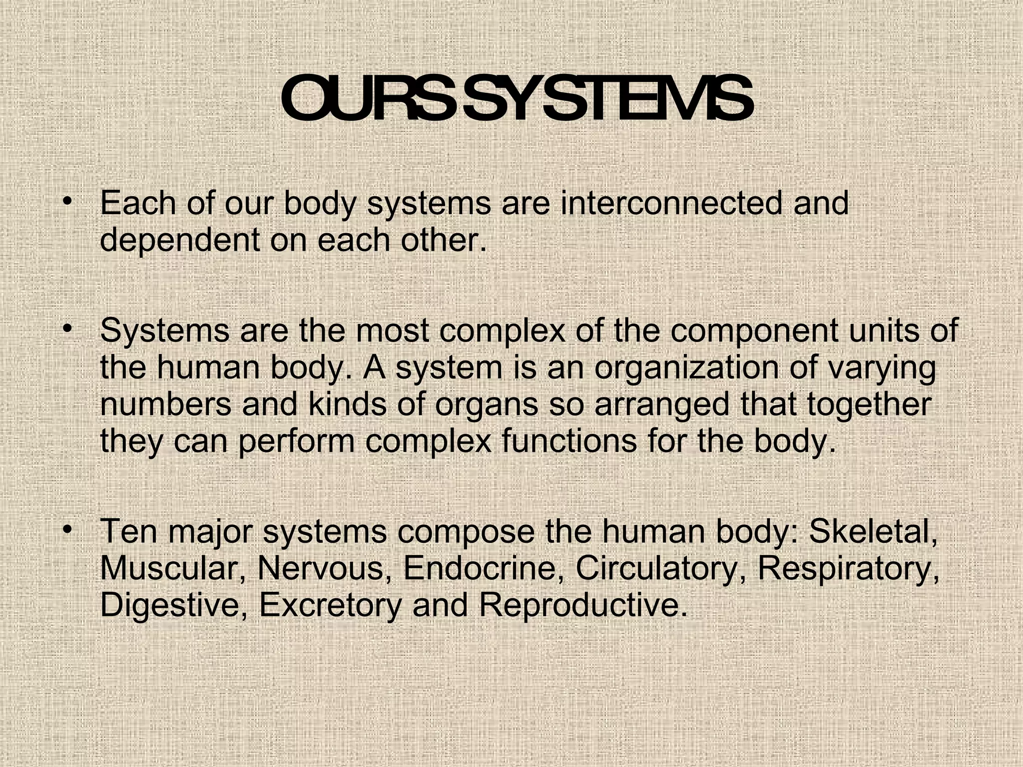 The Human Body | PPT
