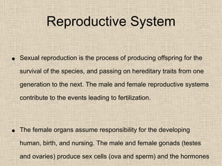 The Human Body | PPT