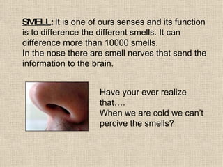 The Human Body | PPT