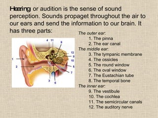 The Human Body | PPT
