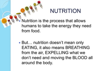 The human body | PPT