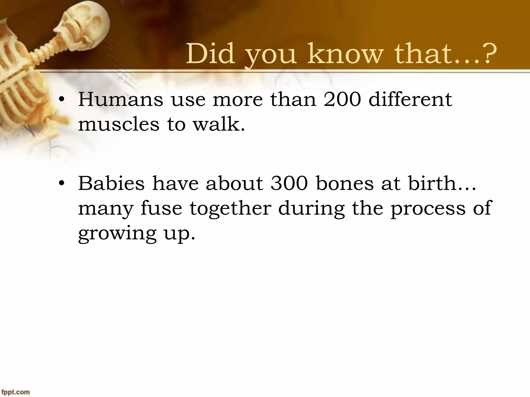 The Human Body Introduction 5 6 Grade Curriculum Ppt