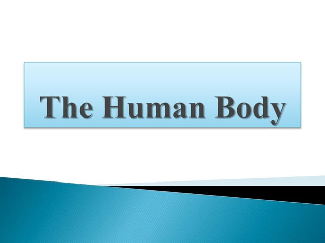 The human body | PPT