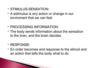 The human body | PPT