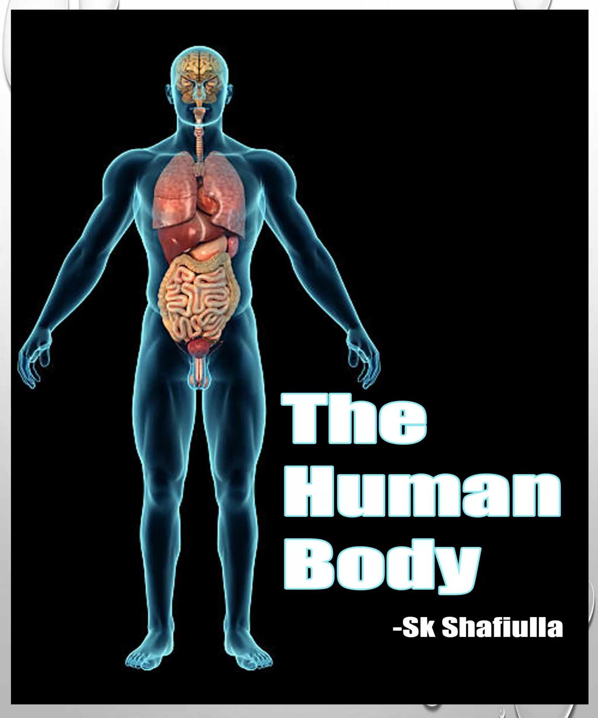 The visual anatomy and physiology of human body. | PDF