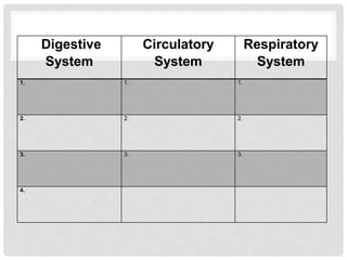 The human body | PPT