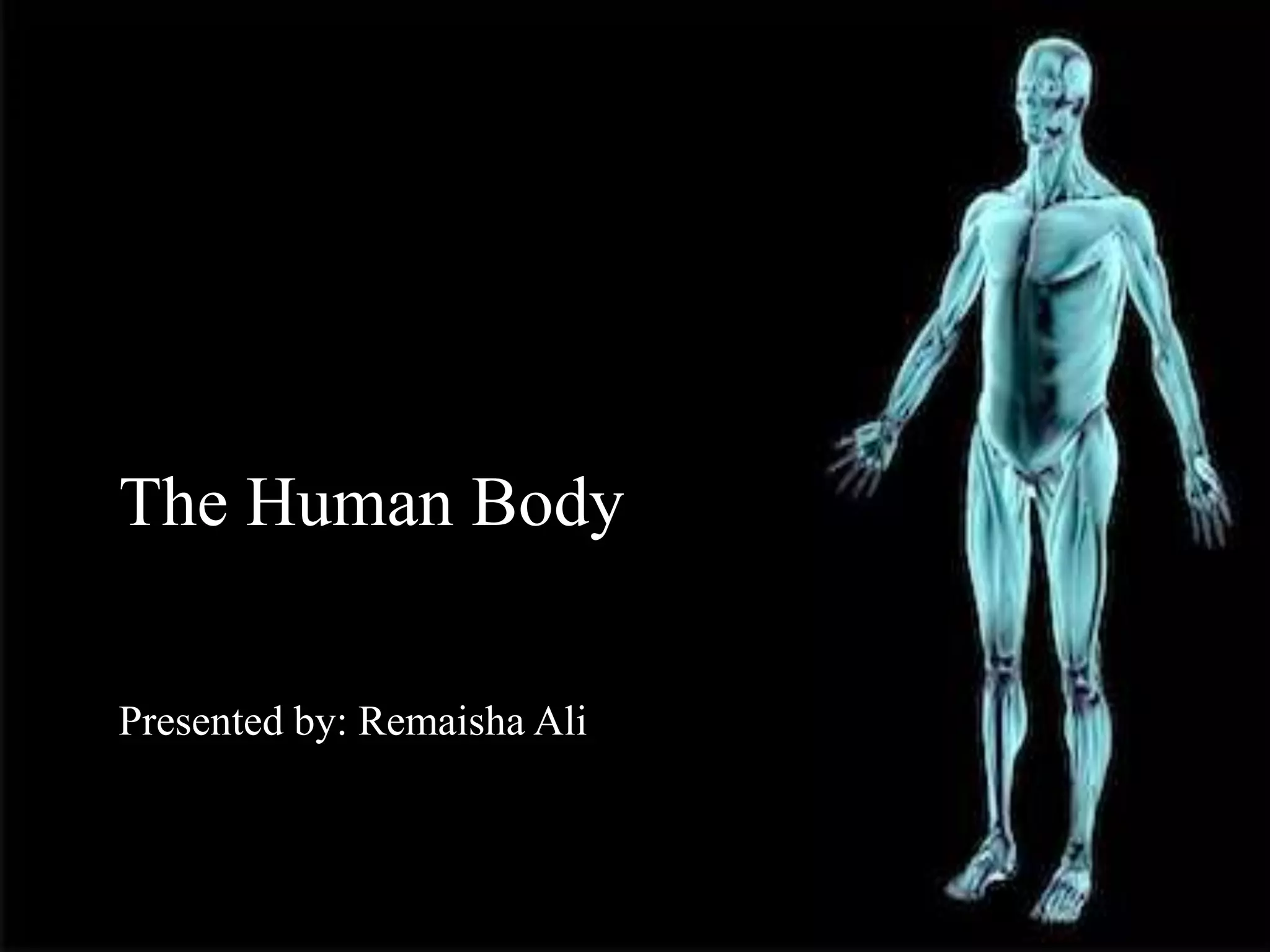 The human body | PPTX