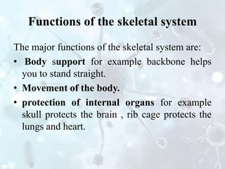 The human body | PPTX