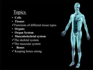The human body | PPTX