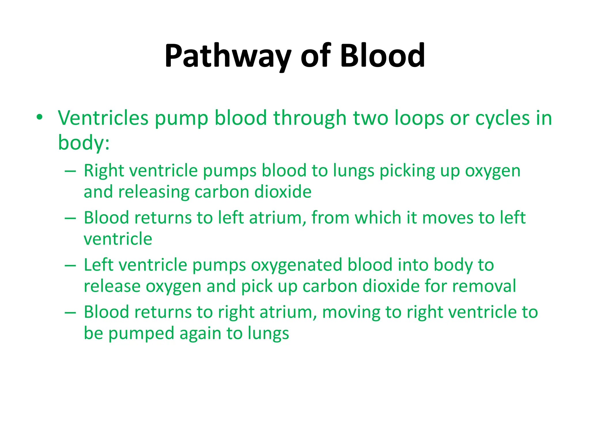 identification of human anatomy among OPC officers | PPT