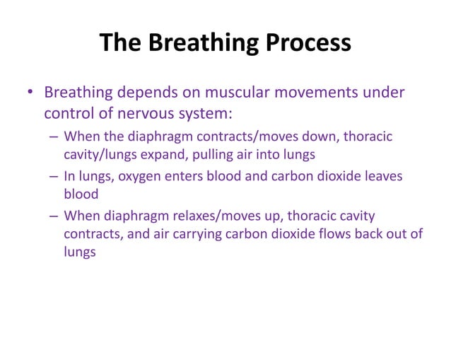identification of human anatomy among OPC officers | PPT