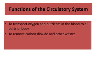 identification of human anatomy among OPC officers | PPT