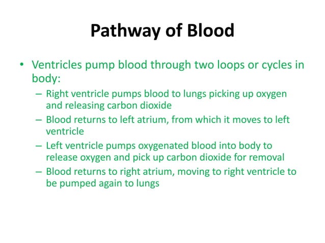 identification of human anatomy among OPC officers | PPT