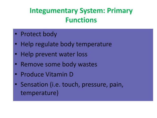identification of human anatomy among OPC officers | PPT
