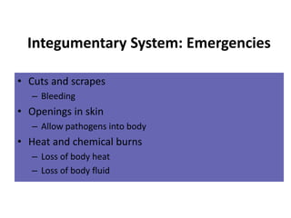 identification of human anatomy among OPC officers | PPT