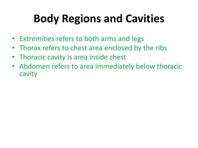 identification of human anatomy among OPC officers | PPT
