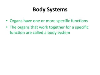 identification of human anatomy among OPC officers | PPT