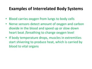 identification of human anatomy among OPC officers | PPT