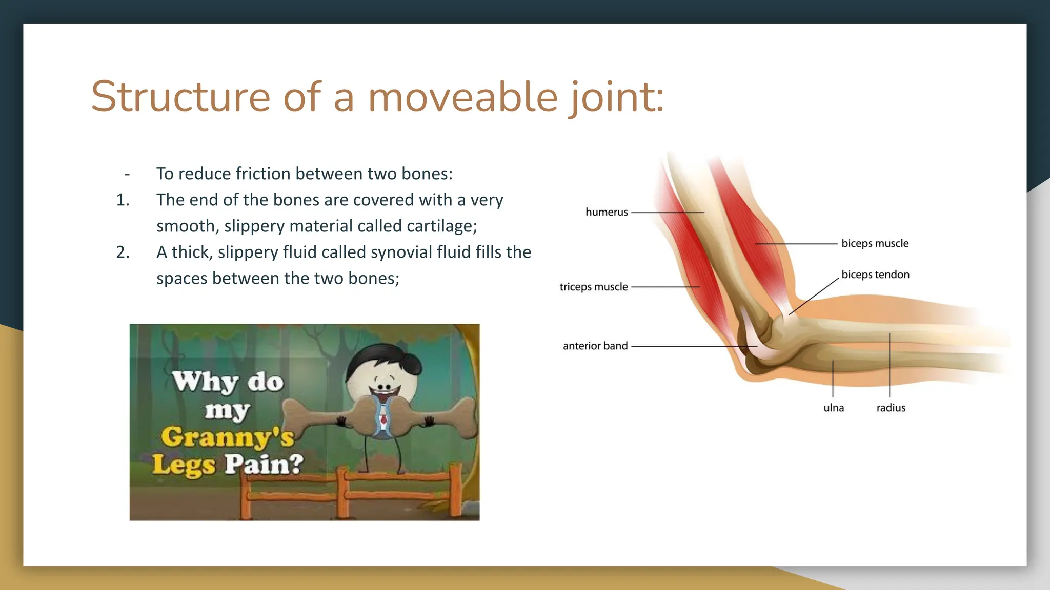 The human body international Primary.pdf