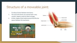 The human body international Primary.pdf