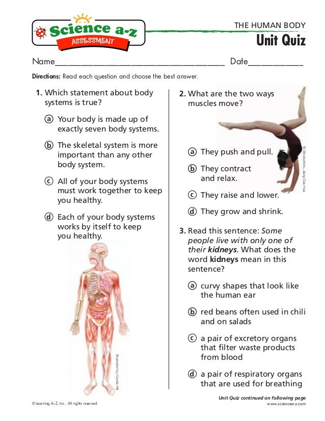 The Human Body The Human Body
