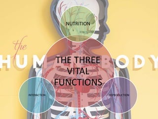 The human body and interaction | PPTX