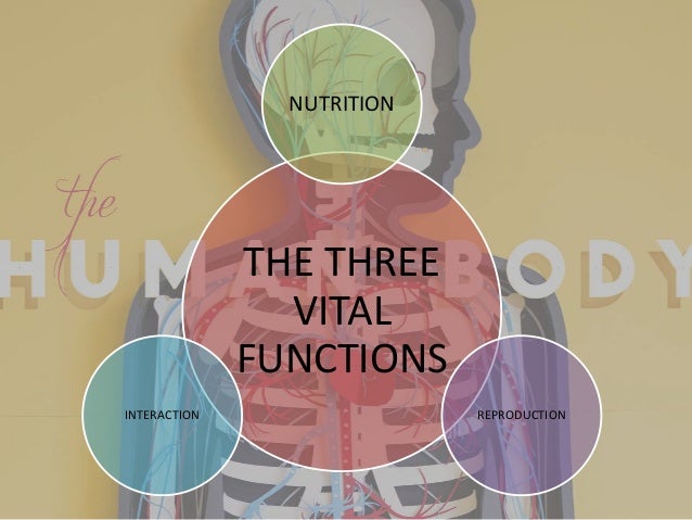 The human body and interaction