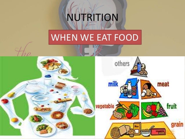 The human body and interaction