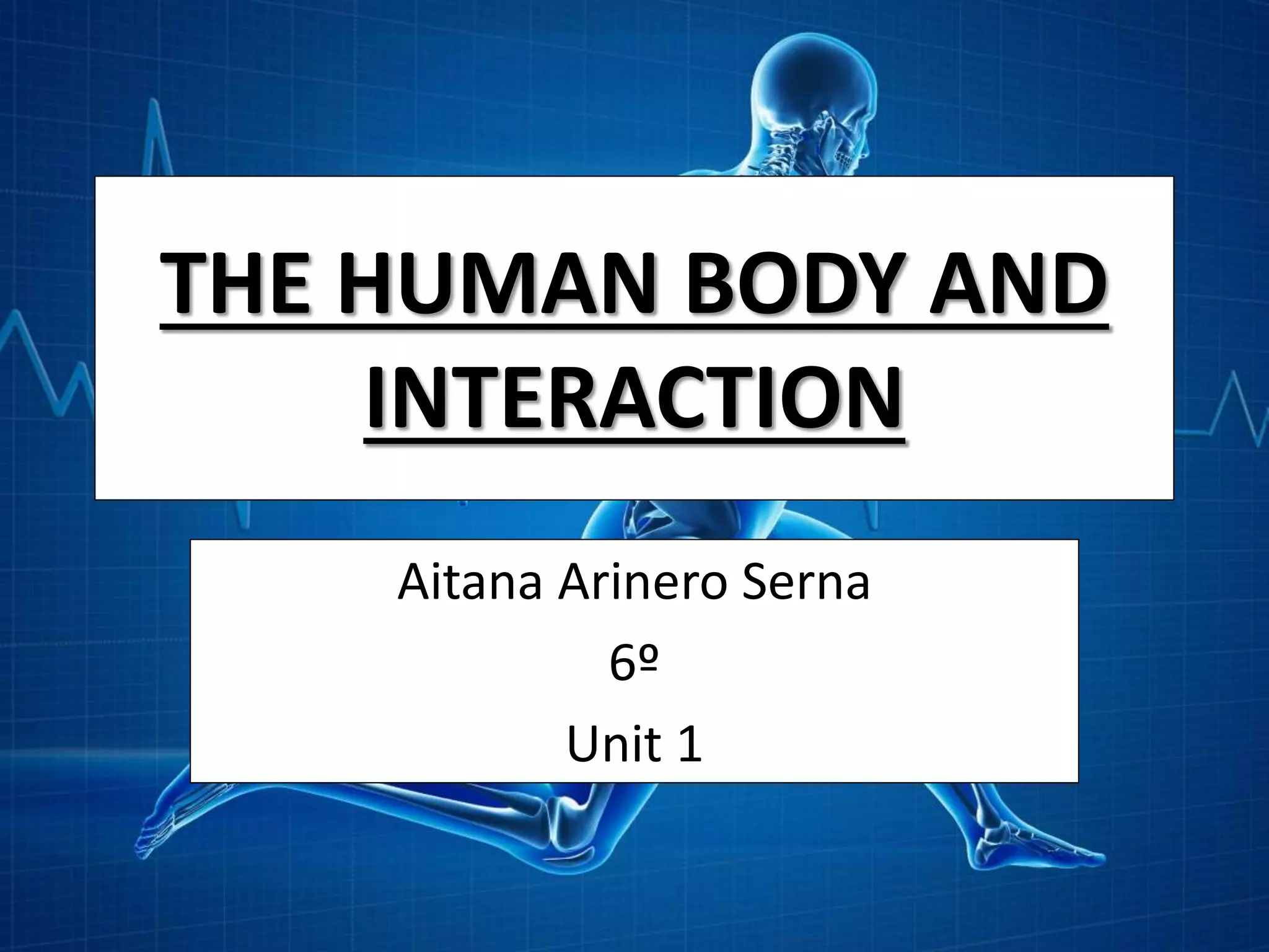 The human body and interaction | PPTX