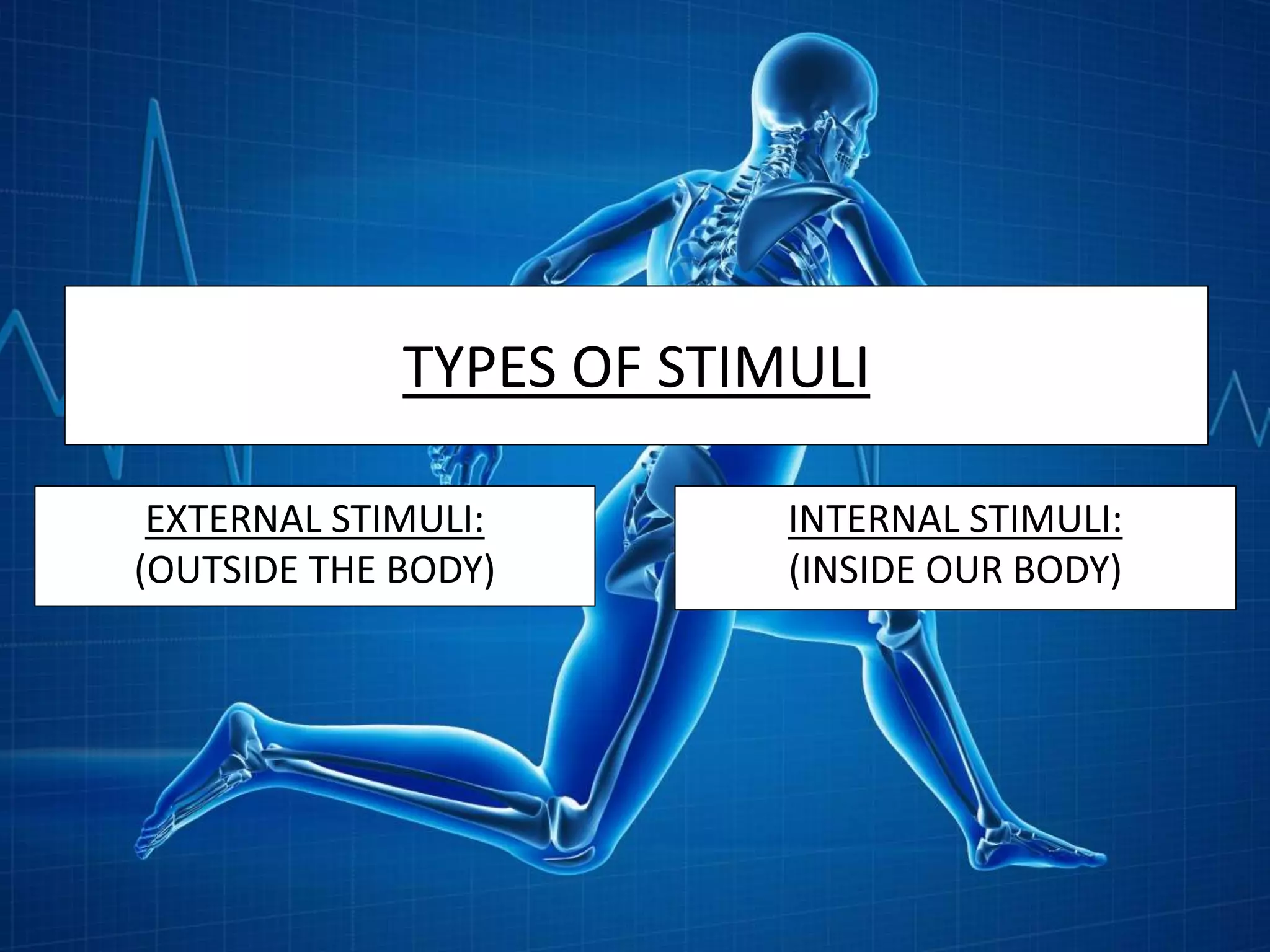 The human body and interaction | PPTX