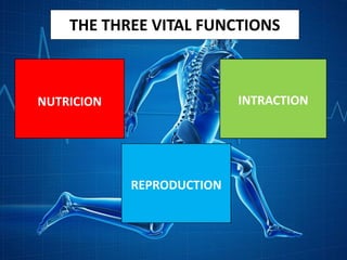 The human body and interaction | PPT